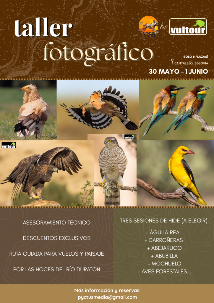 Viajes y Workshops - CÉSAR GIL